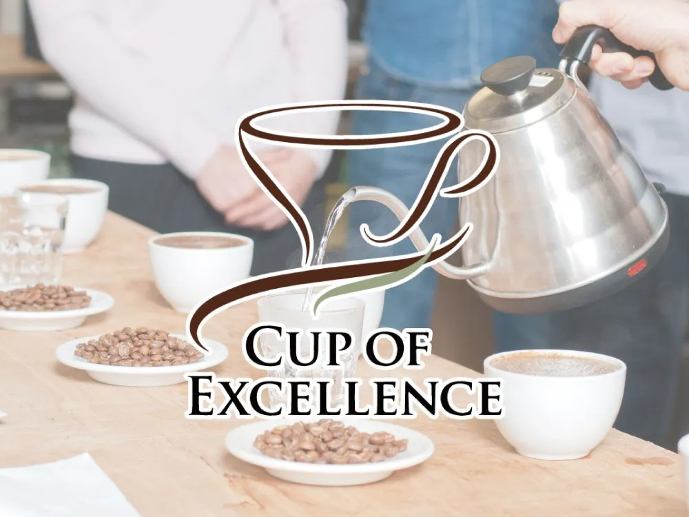 關於Specialty Coffee Association SCA國際精品咖啡協會 | Cica Coffee Academy 自家咖啡學院